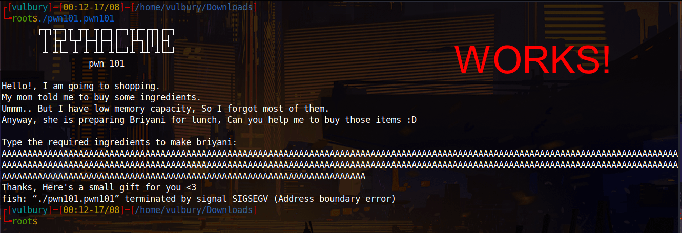 Pwn101 - TryHackMe CTF Write-up - vvelitkn